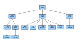 EDB Docs - EDB Postgres Advanced Server v18 - Organization tree in the ...