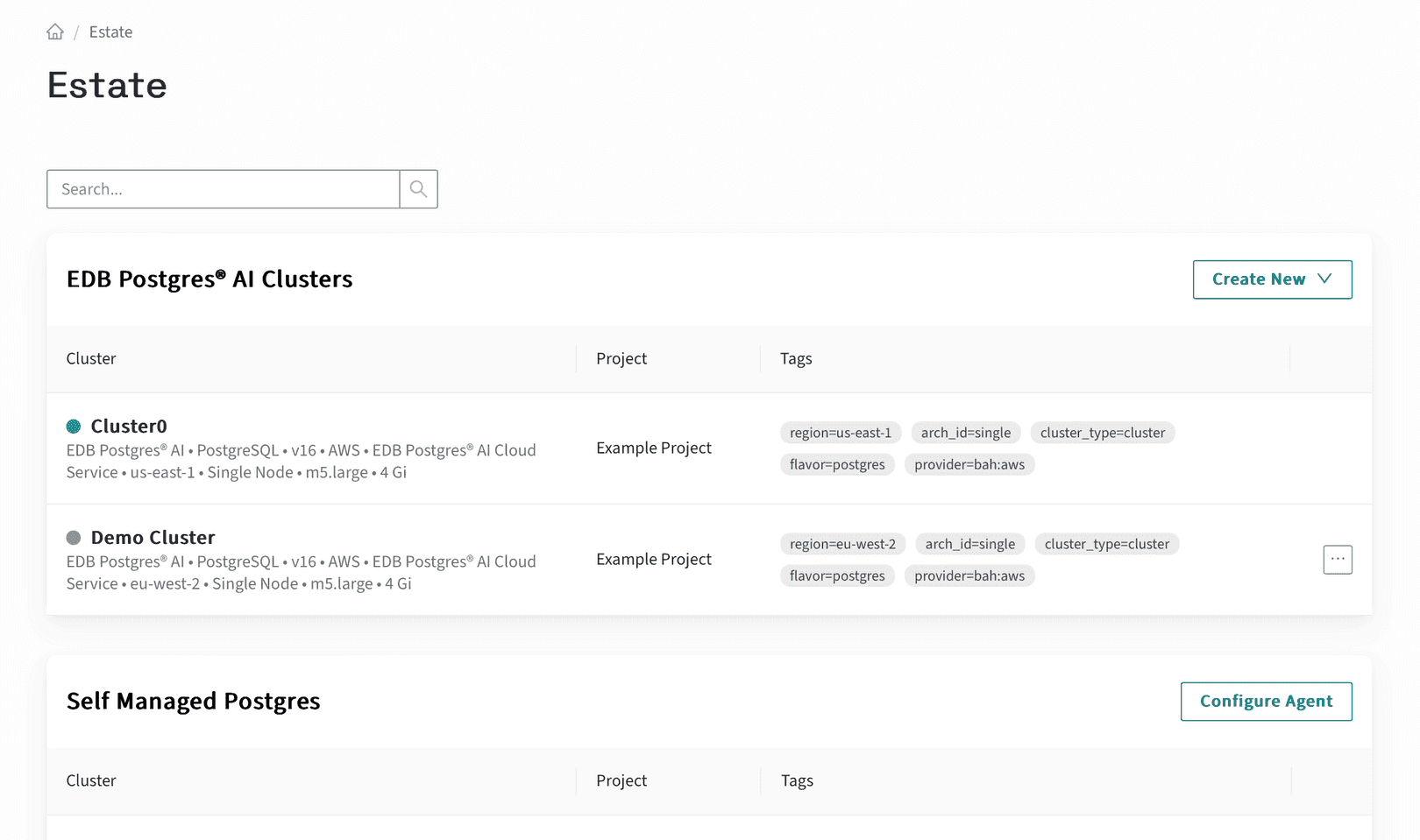 EDB Docs - The EDB Postgres AI Console: Estate